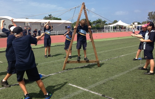Tamborine Mountain State High School